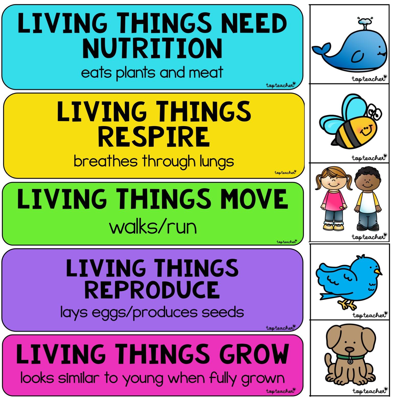 Characteristics Of Living Things Top Teacher characteristics-of-living-things-top-teacher